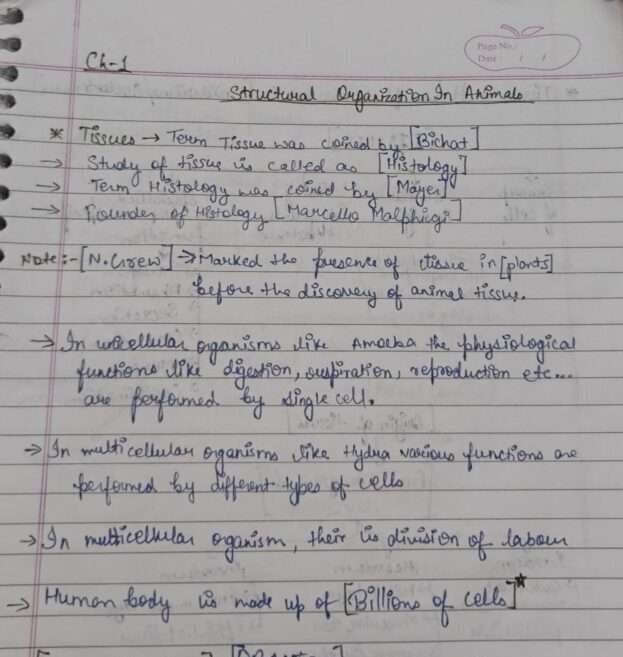 Structural organisation in animals - complete NEET Zoology notes ...