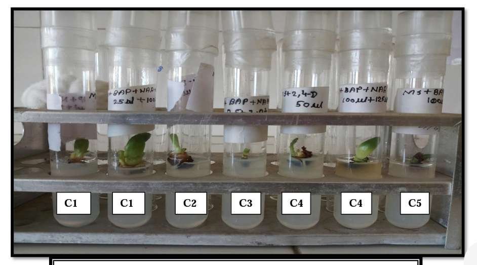 Research Paper Studigoo Sell Your Study Material